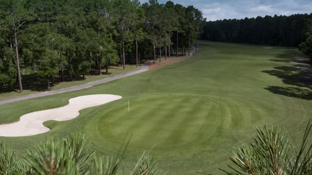 Rees Jones Golf Course | Sea Trail Resort & Golf Links Sunset Beach